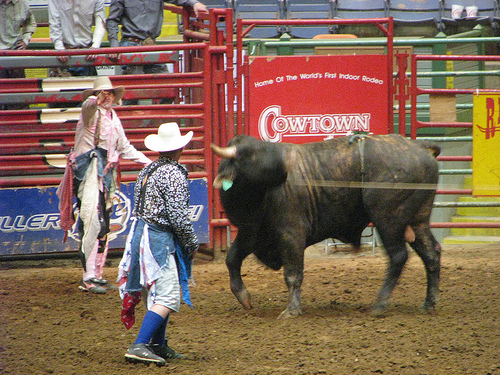 Cowtown Rodeo in Fort Worth, Texas - Kid-friendly Attractions | Trekaroo