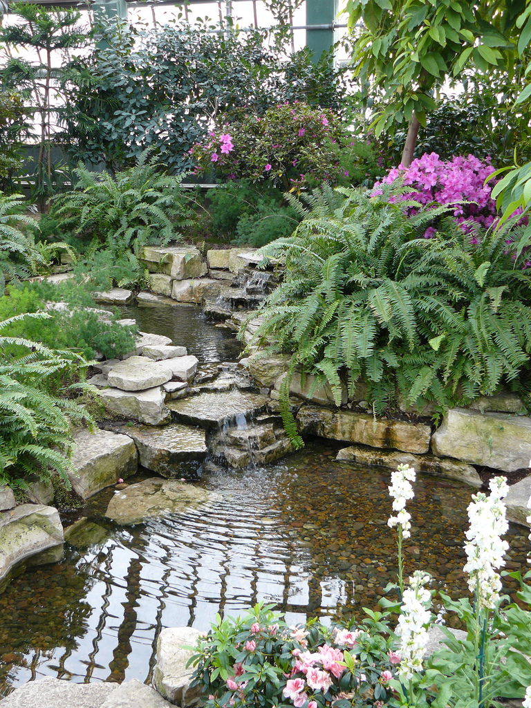 Garfield Park Conservatory in Chicago, Illinois - Kid-friendly ...