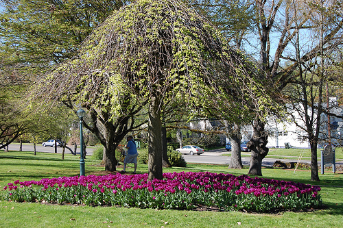Bush Pasture Park and House in Salem, Oregon - Kid-friendly Attractions ...