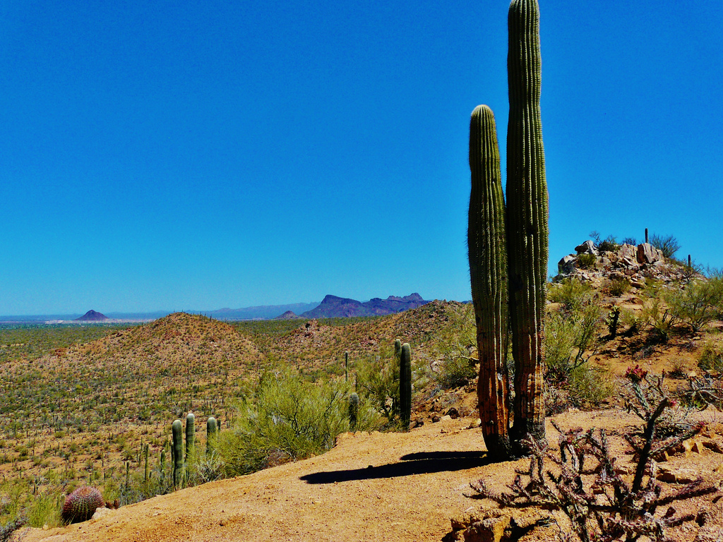 Valley View Overlook Trail in Tucson, Arizona - Kid-friendly ...