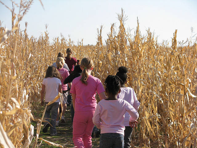 Family-friendly corn mazes in Oregon! | Trekaroo