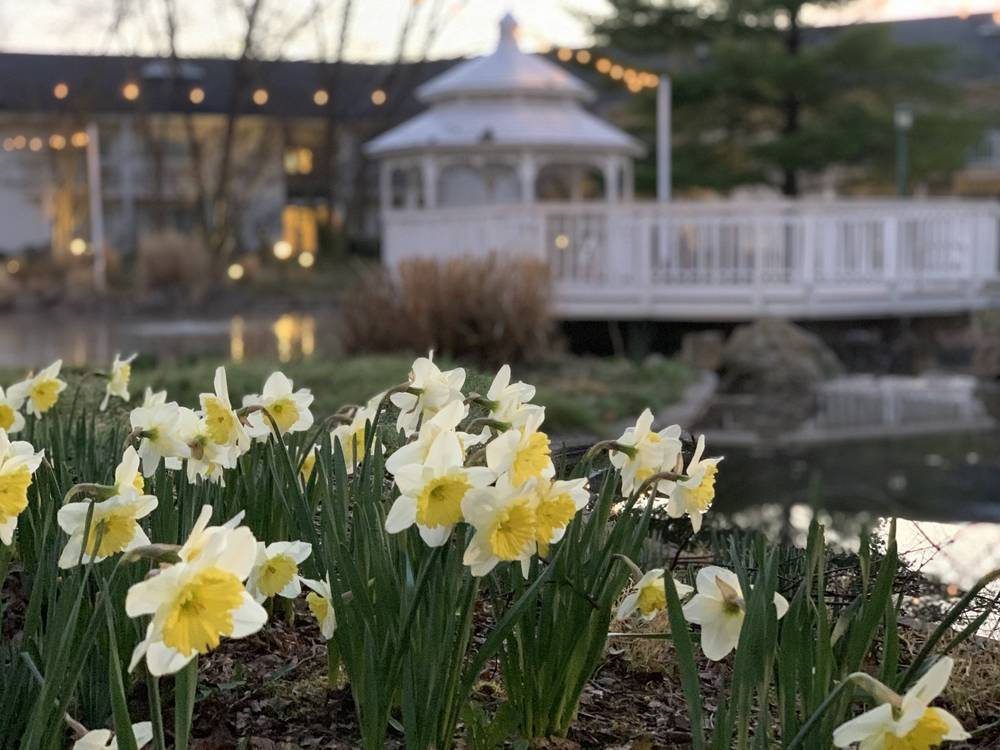 Mini Vacations Near Columbus - Newark, OH | Trekaroo