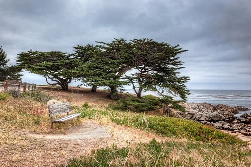 The Monterey Bay Coastal Bike Trail in Monterey, California - Kid ...