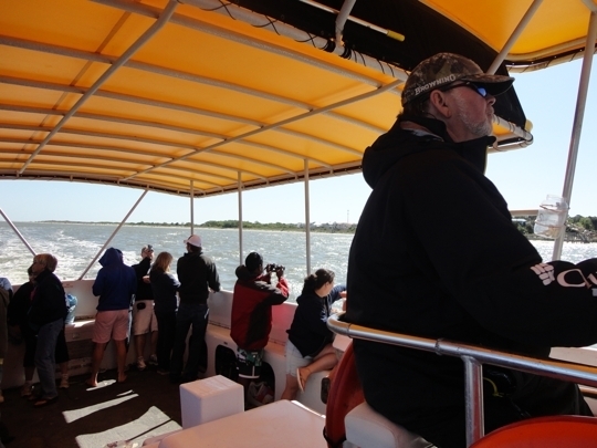 Captain Mike's Dolphin Tours in Tybee Island, Georgia - Kid-friendly ...