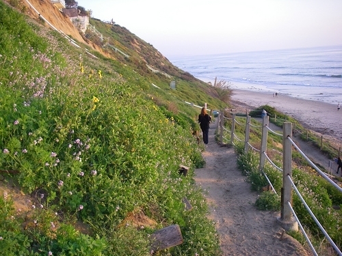 Beacon's Beach in Encinitas, California - Kid-friendly Attractions ...