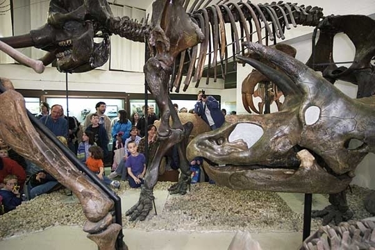 Geology Museum - UW Madison in Madison, Wisconsin - Kid-friendly ...