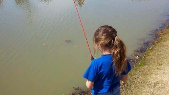 Go Fish Education Center in Perry, Georgia - Kid-friendly Attractions ...