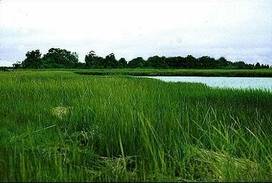 Flax Pond Marine Laboratory in Stony Brook, New York - Kid-friendly ...