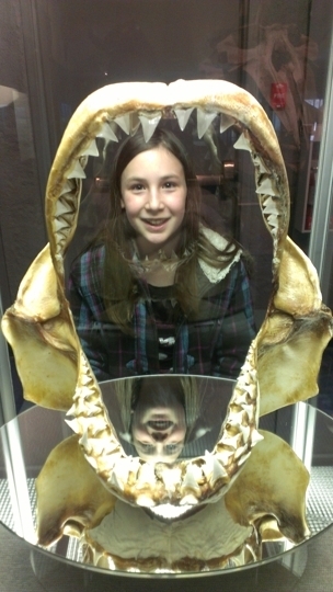 Museum of Natural History in Halifax, Nova Scotia - Kid-friendly ...