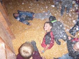 Cornbelly's Corn Maze & Pumpkin Fest in Lehi, Utah - Kid-friendly ...