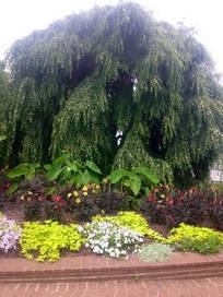 Brookside Gardens in Silver Spring, Maryland - Kid-friendly Attractions ...