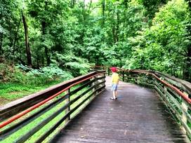 Cascade Springs Nature Preserve in Atlanta, Georgia - Kid-friendly ...