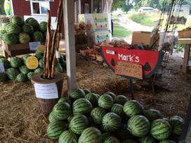 Mark's Melon Patch in Dawson, Georgia - Kid-friendly Attractions | Trekaroo