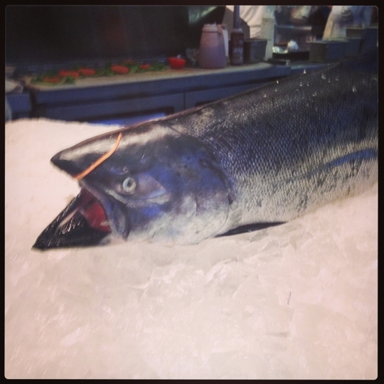 FireFish Grill in Santa Cruz, California - Kid-friendly Restaurants ...