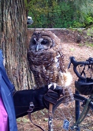 Audubon Society's of Portland Wildlife Sanctuary in Portland, Oregon ...