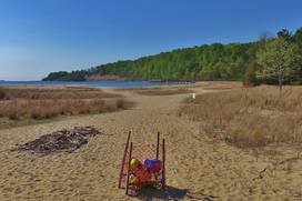 Flag Ponds Nature Park in Lusby, Maryland - Kid-friendly Attractions ...