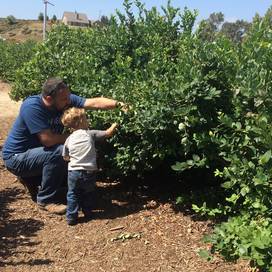Temecula Berry Company in Temecula, California - Kid-friendly ...