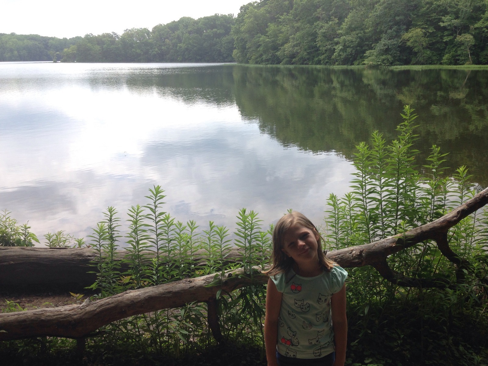 Burke Lake Park in Fairfax Station, Virginia - Kid-friendly Attractions ...