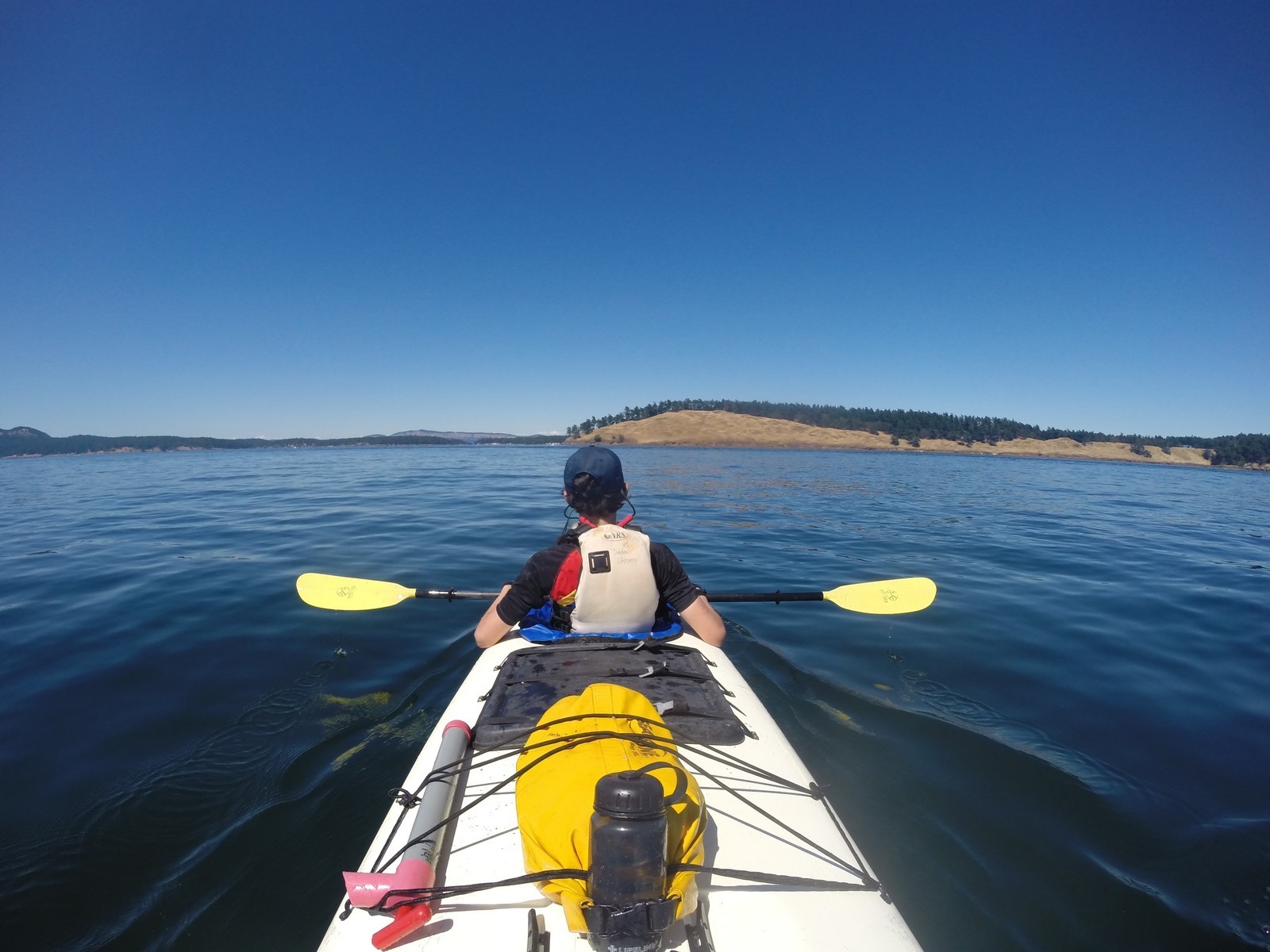 Outdoor Odysseys Kayaking in Friday Harbor, Washington - Kid-friendly ...