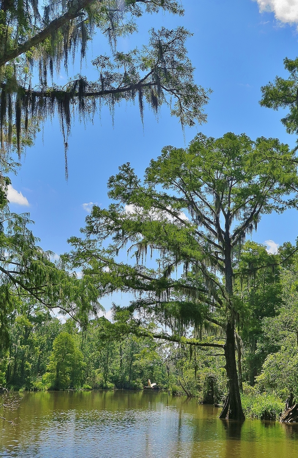 Eco-Tours of South Mississippi in Gautier, Mississippi - Kid-friendly ...