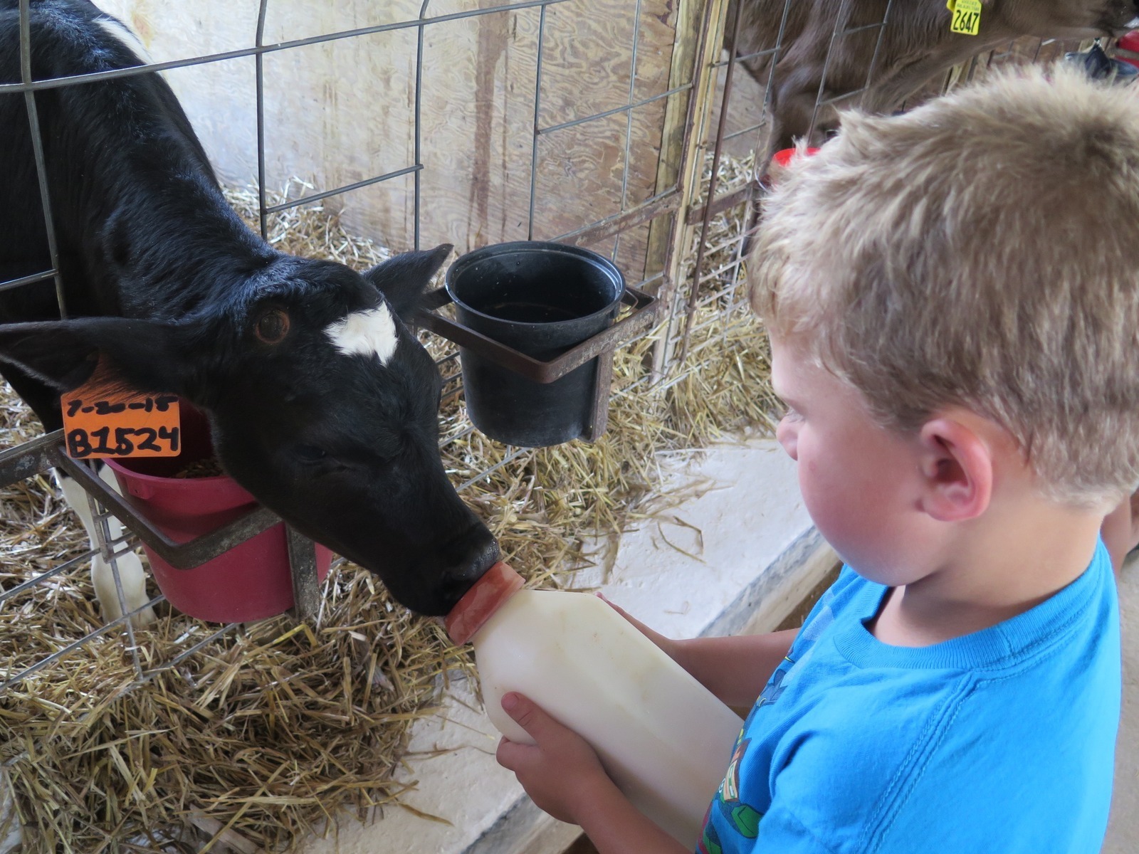 South Mountain Creamery in Middletown, Maryland - Kid-friendly ... South Mountain Creamery in Middletown, Maryland - Kid-friendly ...