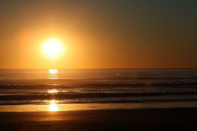 Sunset State Beach in Watsonville, California - Kid-friendly ...