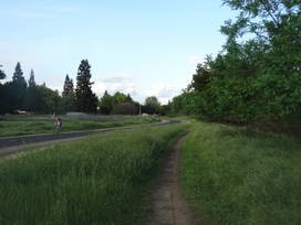 Jedediah Smith Memorial Bicycle Trail/American River Parkway in ...