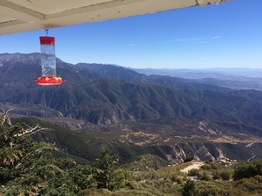 Keller Peak Fire Lookout in Running Springs, California - Kid-friendly ...