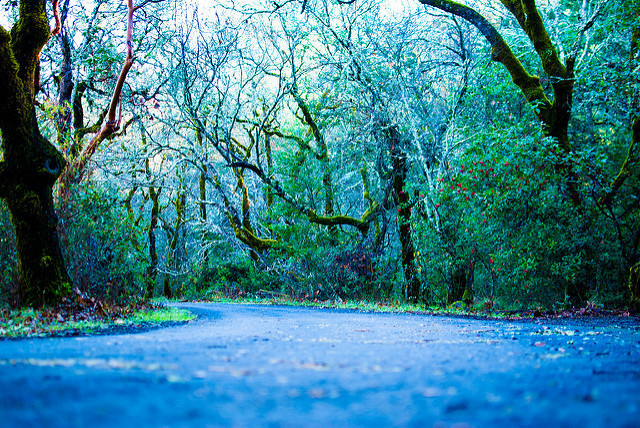 Bothé-Napa Valley State Park in Calistoga, California - Kid-friendly ...