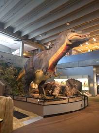St Louis Science Museum in Saint Louis, Missouri - Kid-friendly ...