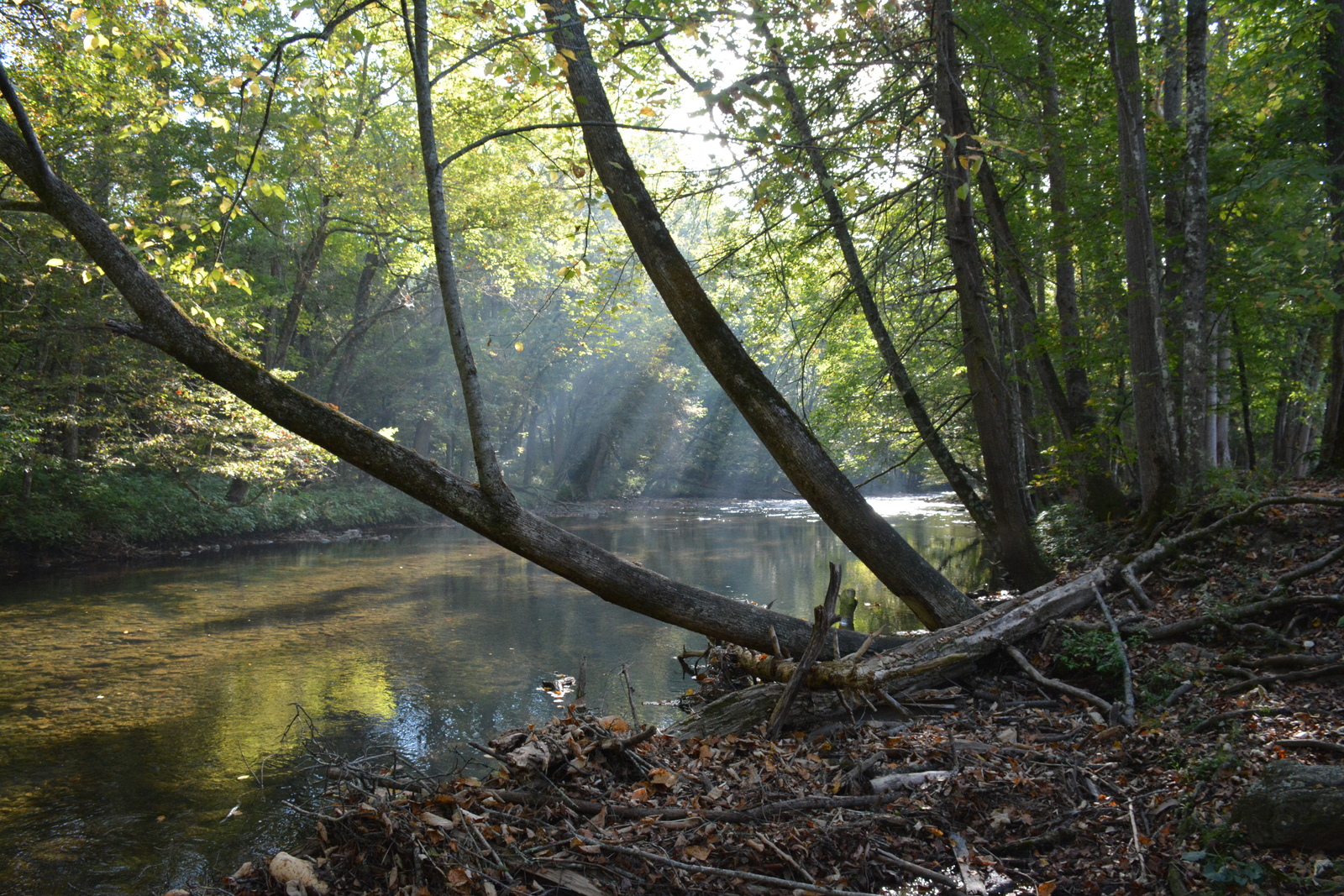Oconaluftee River Trail in Cherokee, North Carolina - Kid-friendly ...