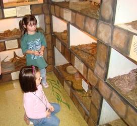Luray Zoo in Luray, Virginia - Kid-friendly Attractions | Trekaroo
