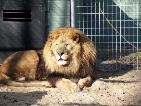 Tregembo Animal Park in Wilmington, North Carolina - Kid-friendly ...