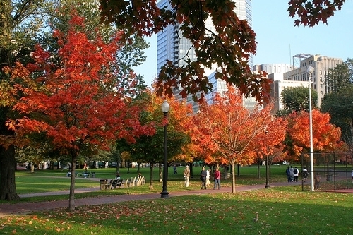 Boston Common in Boston, Massachusetts - Kid-friendly Attractions ...