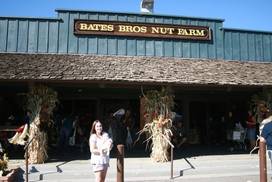 Bates Nut Farm in Valley Center, California - Kid-friendly Attractions ...