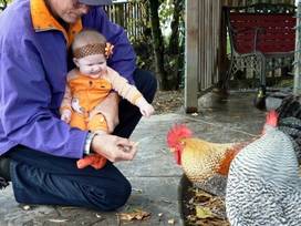 The Country Village in Bothell, Washington - Kid-friendly Attractions ...