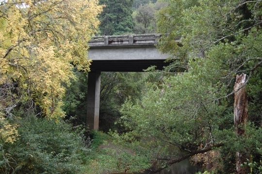 Samuel P Taylor State Park in Lagunitas, California - Kid-friendly ...