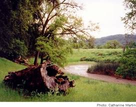 Ridgewood Ranch in Willits, California - Kid-friendly Attractions ...