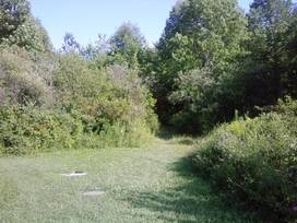 Hiking in Hector, New York - Kid-friendly Attractions | Trekaroo