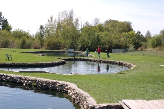 Cold SpringsTrout Farm in Ogden, Utah - Kid-friendly Attractions | Trekaroo