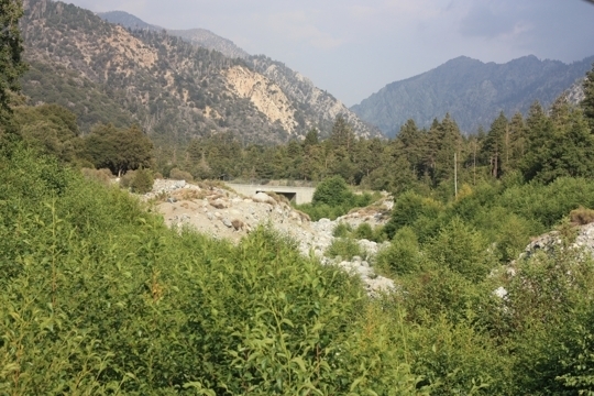 Forest Home Ministries in Forest Falls, California - Kid-friendly ...