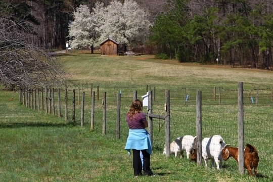 Dauset Trails Nature Center in Jackson, Georgia - Kid-friendly ...