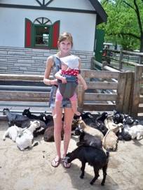 Grant's Farm Train and Petting Zoo in Saint Louis, Missouri - Kid-friendly Attractions | Trekaroo