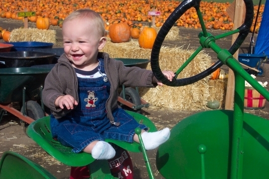 Pumpkin Point Farms in Riverton, Utah - Kid-friendly Attractions | Trekaroo
