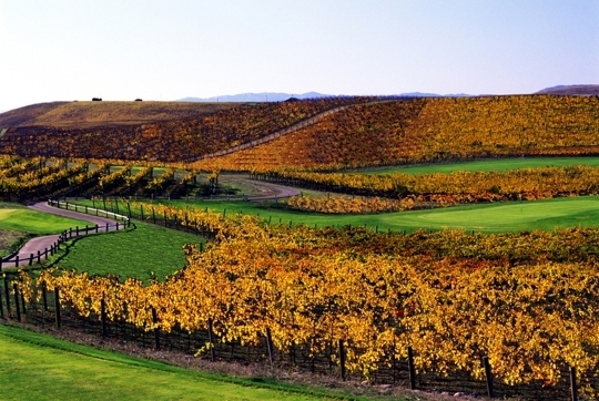 The Chardonnay Golf Club in American Canyon, California - Kid-friendly ...