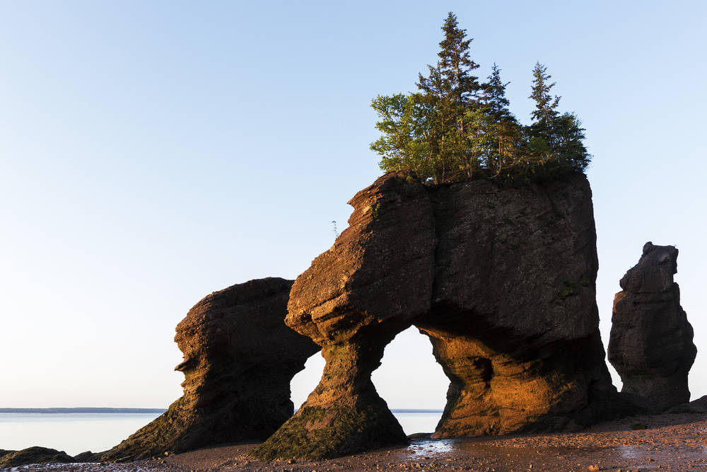 Best of New Brunswick with Kids | Trekaroo